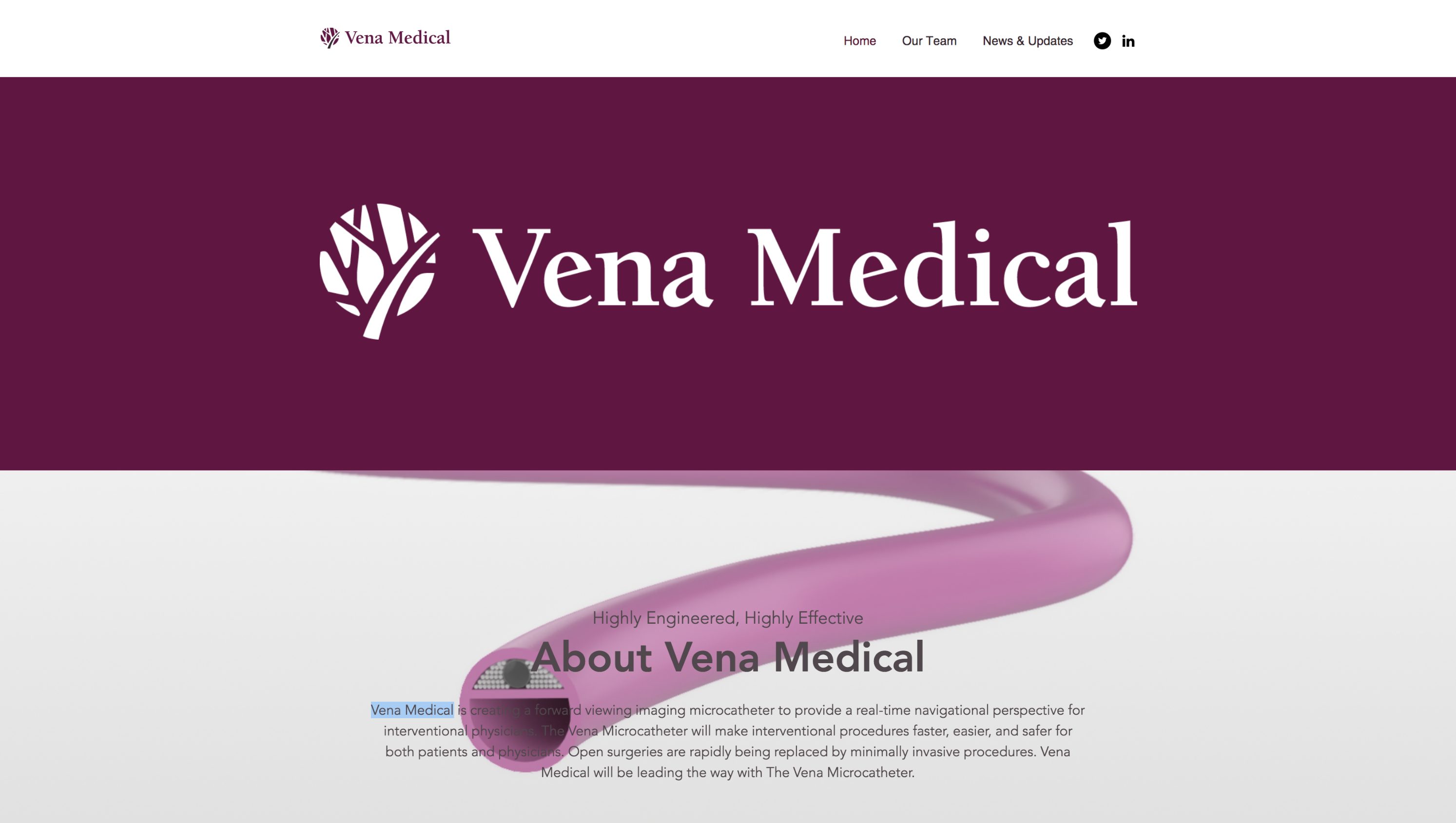 Vena Medical / 『世界最小のカメラ!?患者の血管を見る!?』肝臓癌や脳卒中の治療に活用できるカメラ | earthkeylab