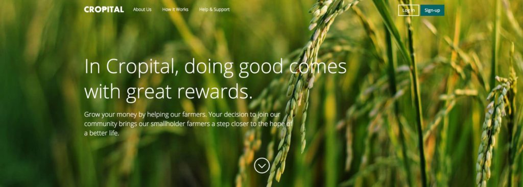 Cropital / フィリピンを拠点にした、農家向けのクラウドファンディングサービス | earthkeylab